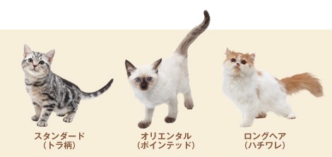 Nintendo divulga as raças disponíveis em cada versão de Nintendogs ...